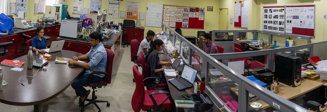 Soft Materials Lab – Soft materials for future advancement